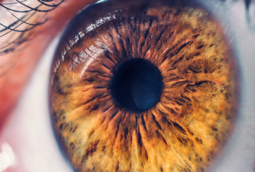 Instituto da Visão – Especialistas em olhos